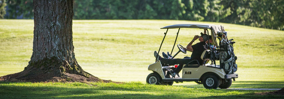 My Homepage - Newlands Golf and Country Club