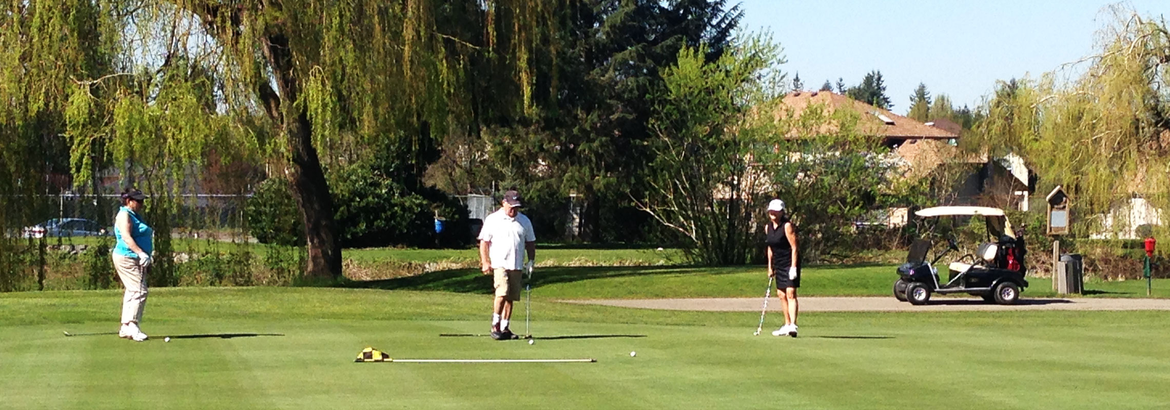 My Homepage - Newlands Golf and Country Club