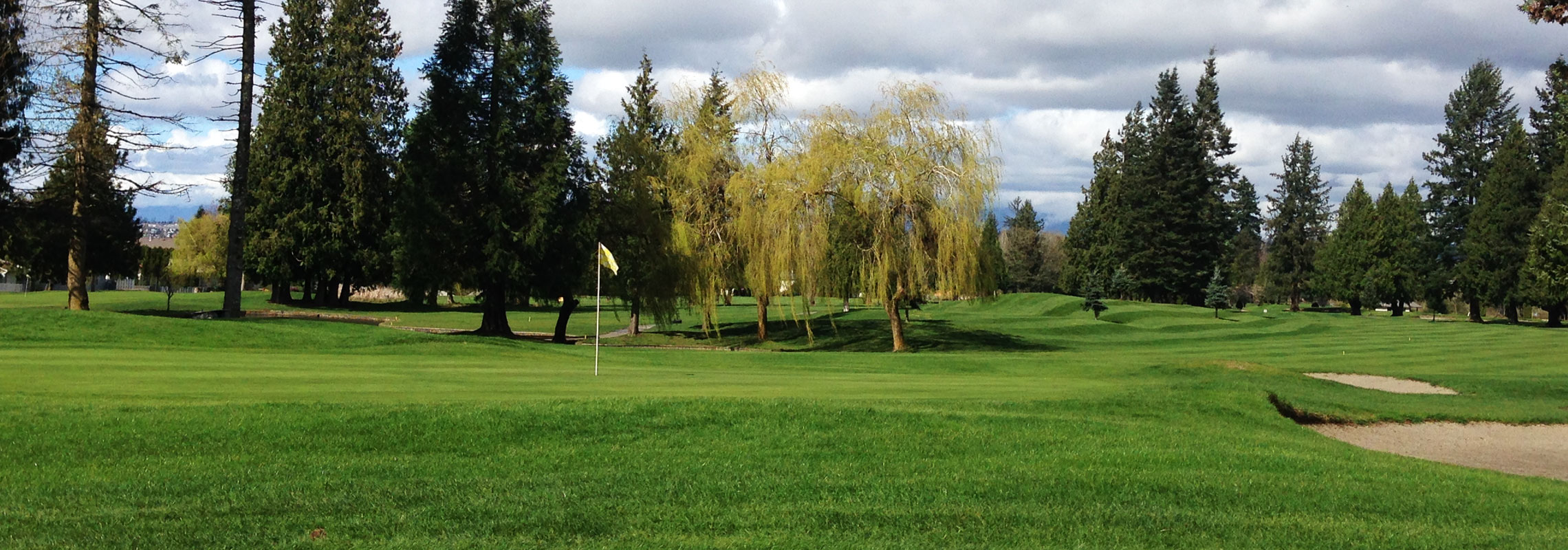 My Homepage - Newlands Golf and Country Club