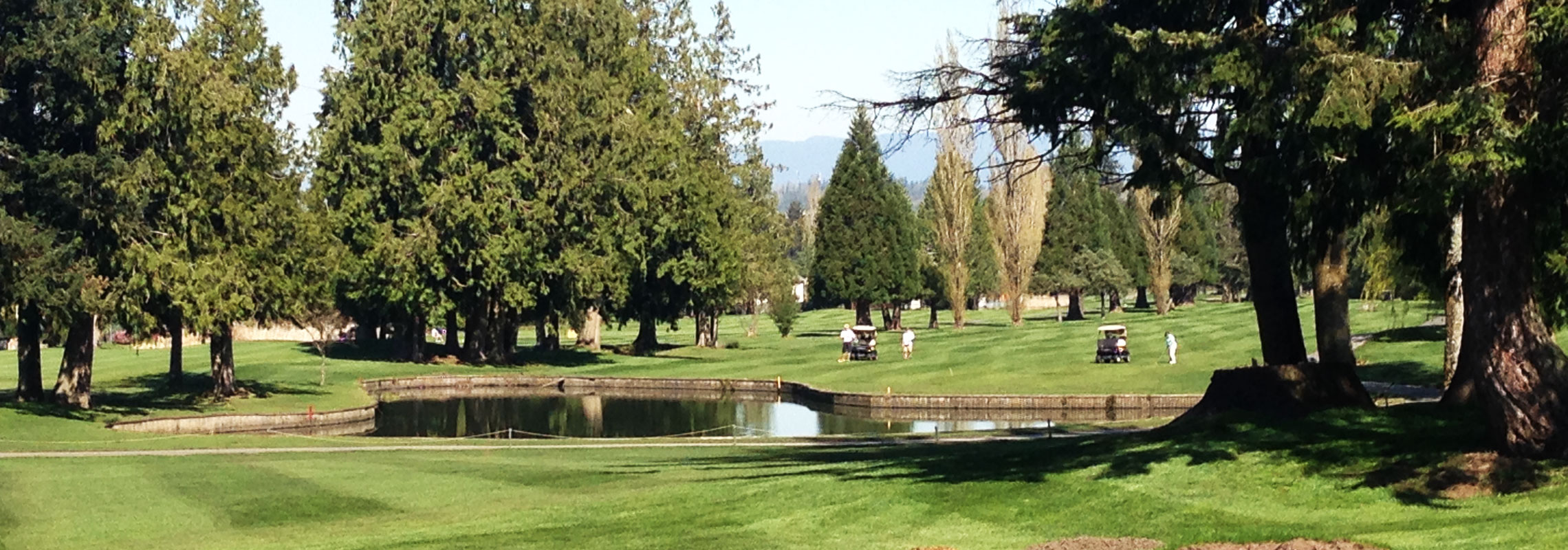 My Homepage - Newlands Golf and Country Club