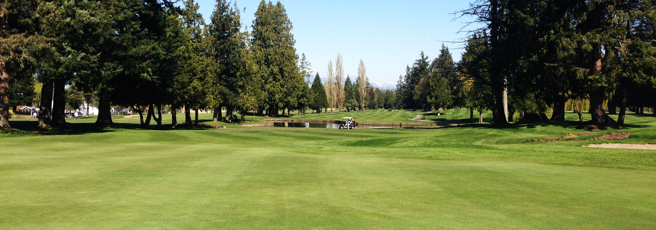 My Homepage - Newlands Golf and Country Club