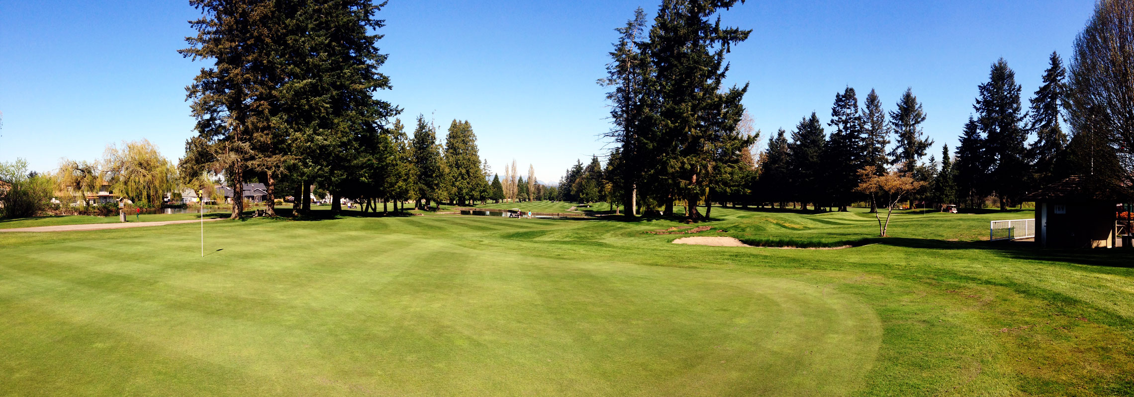 My Homepage - Newlands Golf and Country Club